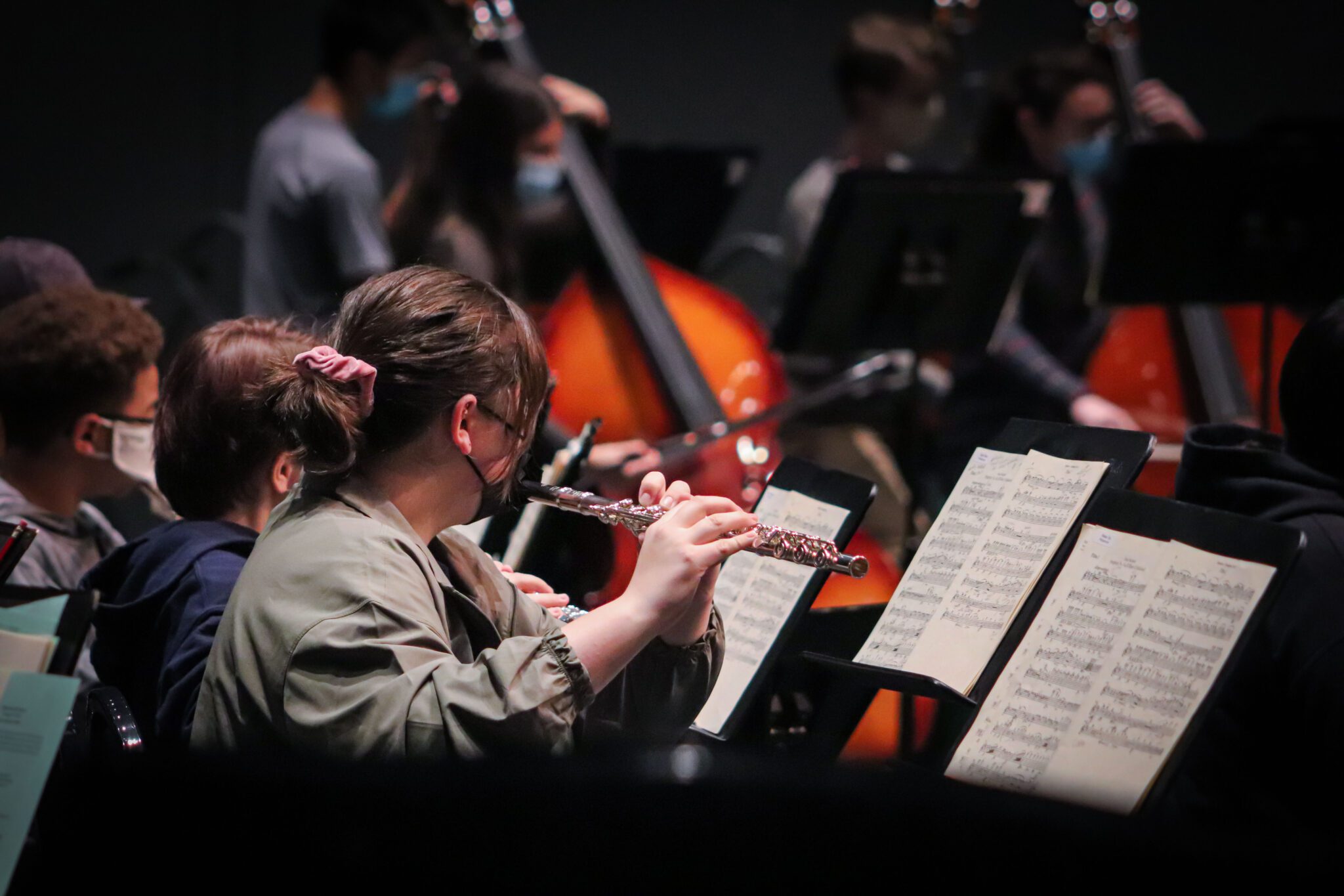 Home - Elgin Youth Symphony Orchestra