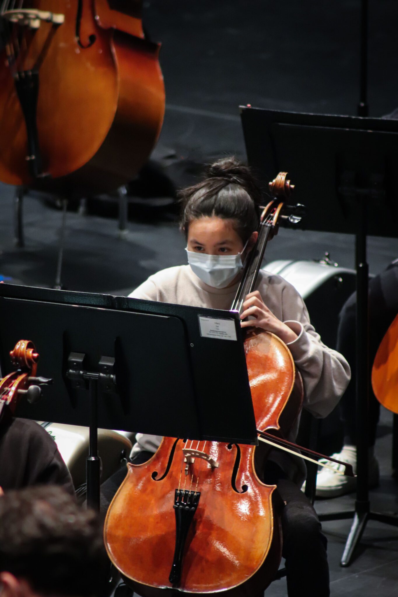 Home - Elgin Youth Symphony Orchestra