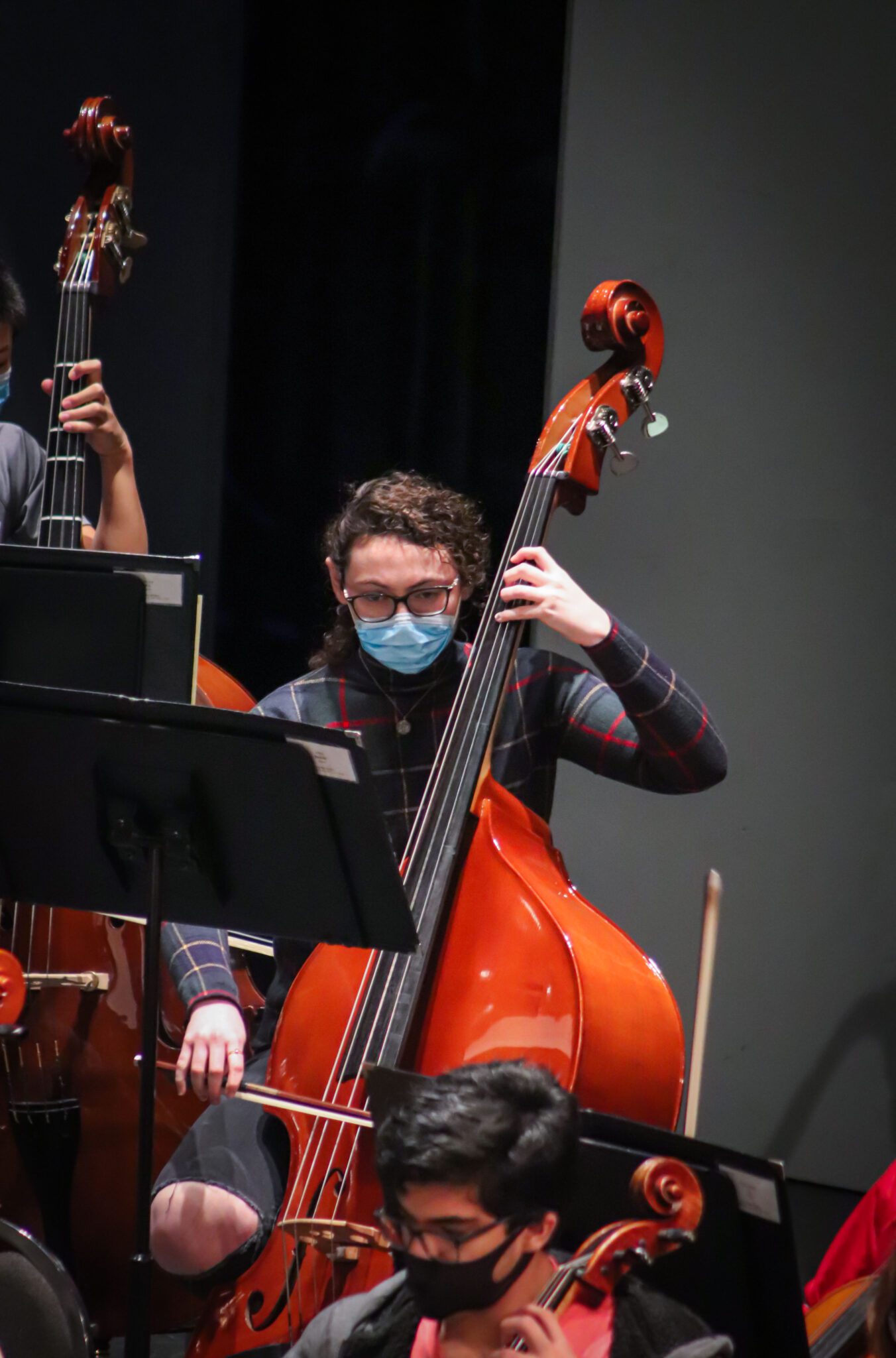 Home - Elgin Youth Symphony Orchestra